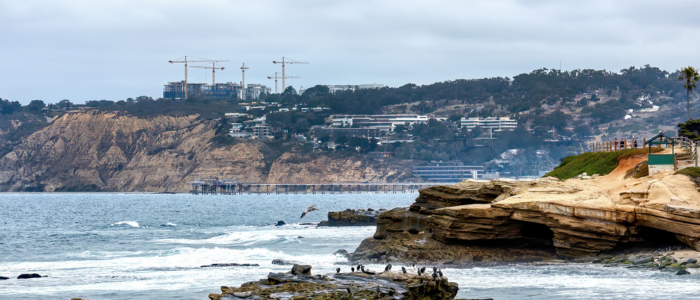 Best Places To Watch Whales: Top Global Whale Watching Spots