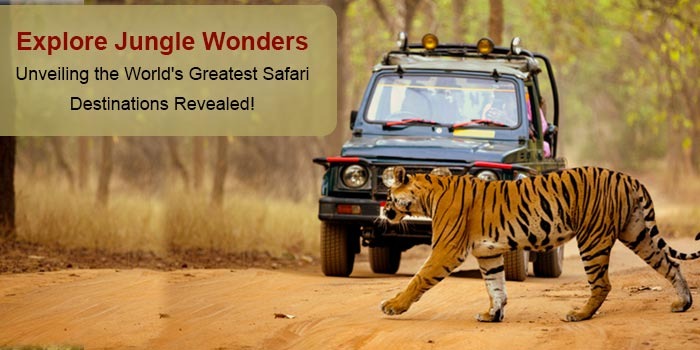 Explore Jungle Wonders: Unveiling The World's Greatest Safari ...
