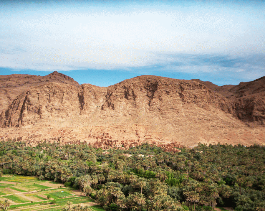 Rose Valley